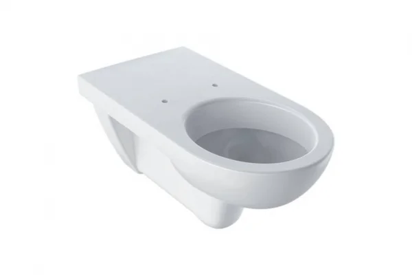 Geberit Konzolna WC šolja Selnova Comfort 70 500.261.01.1