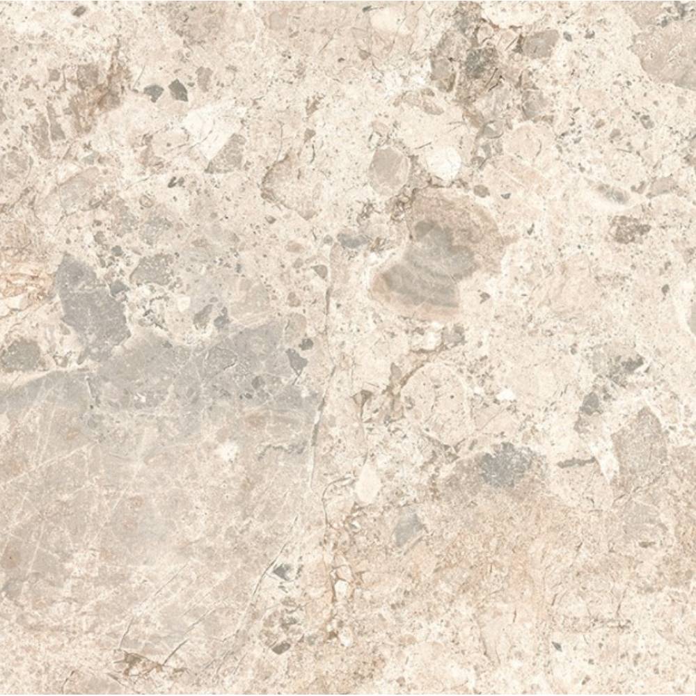 Terrazzo Rettificato 59×59