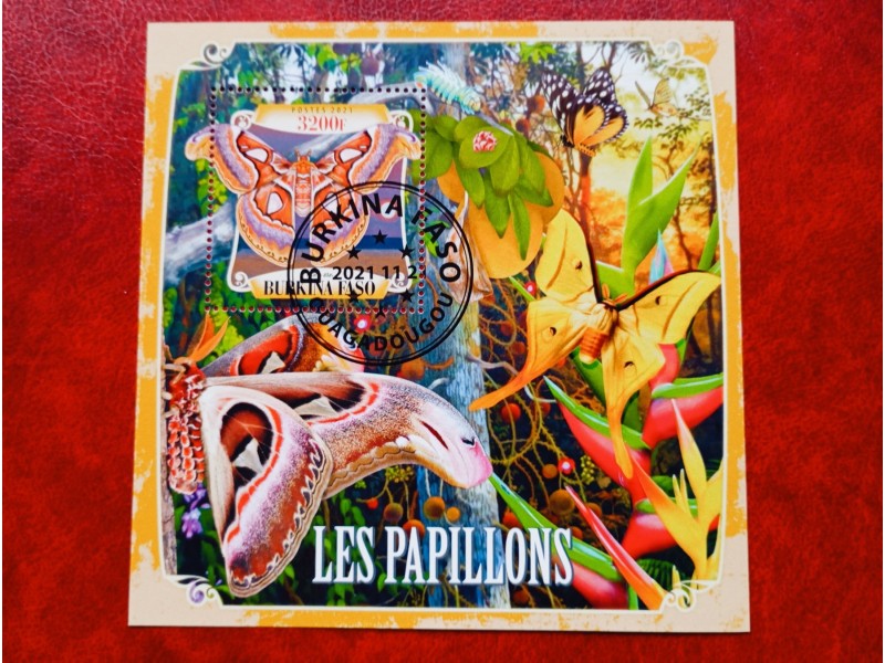 Les Papillons