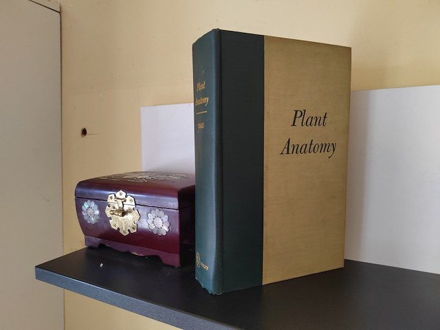 Plant Anatomy Katherine Esau 1953