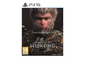 PS5 Black Myth: Wukong