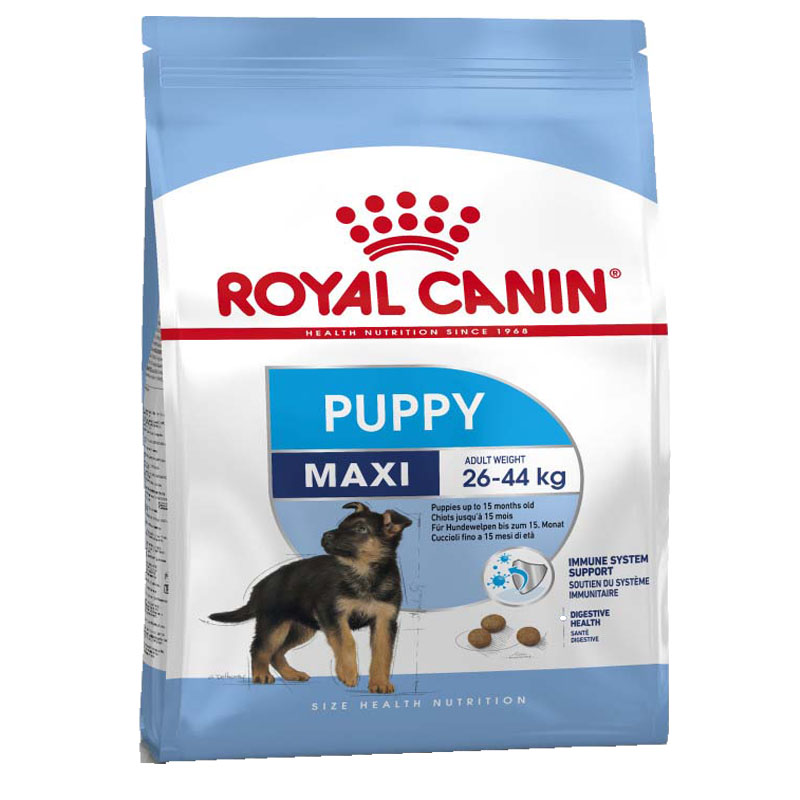 Royal canin maxi junior