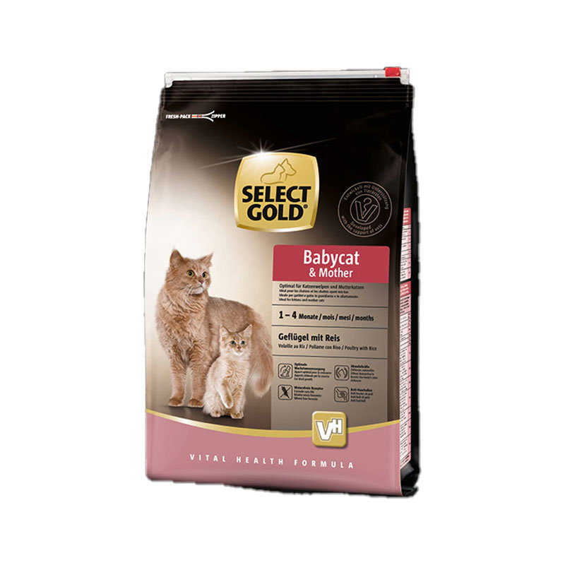 Select gold babycat and mother 300g