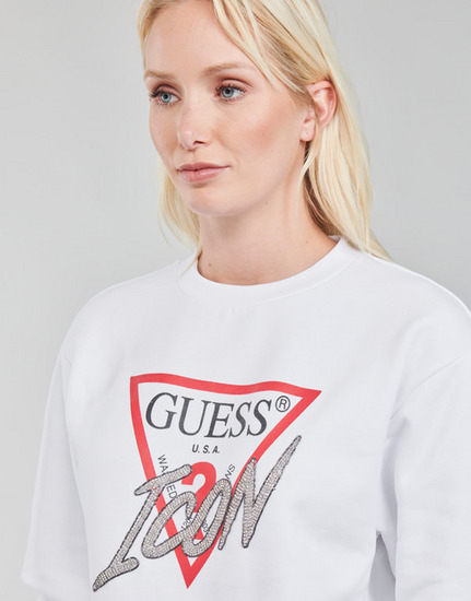 Guess Icon duks