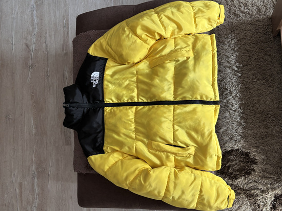 The north face tnf