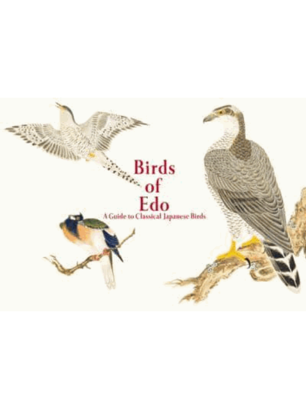 Birds of Edo