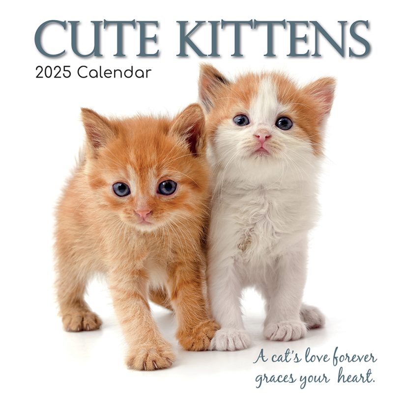 2025 Square Wall Calendar – Cute Kittens