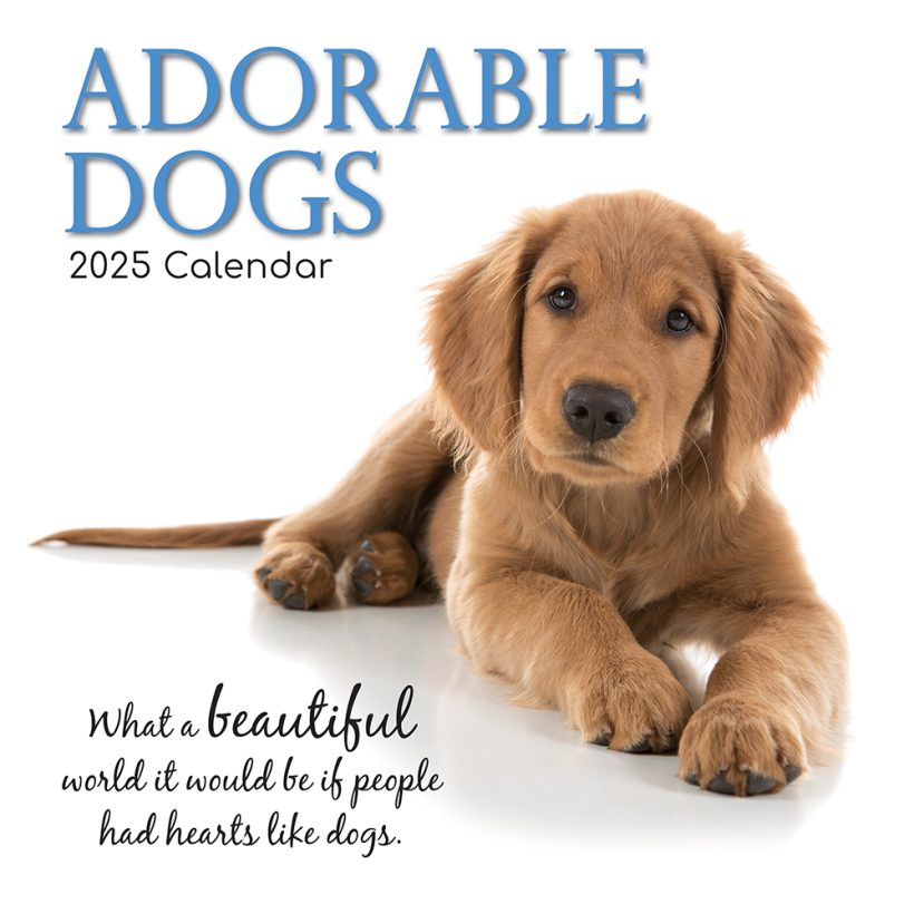 2025 Square Wall Calendar – Adorable Dogs