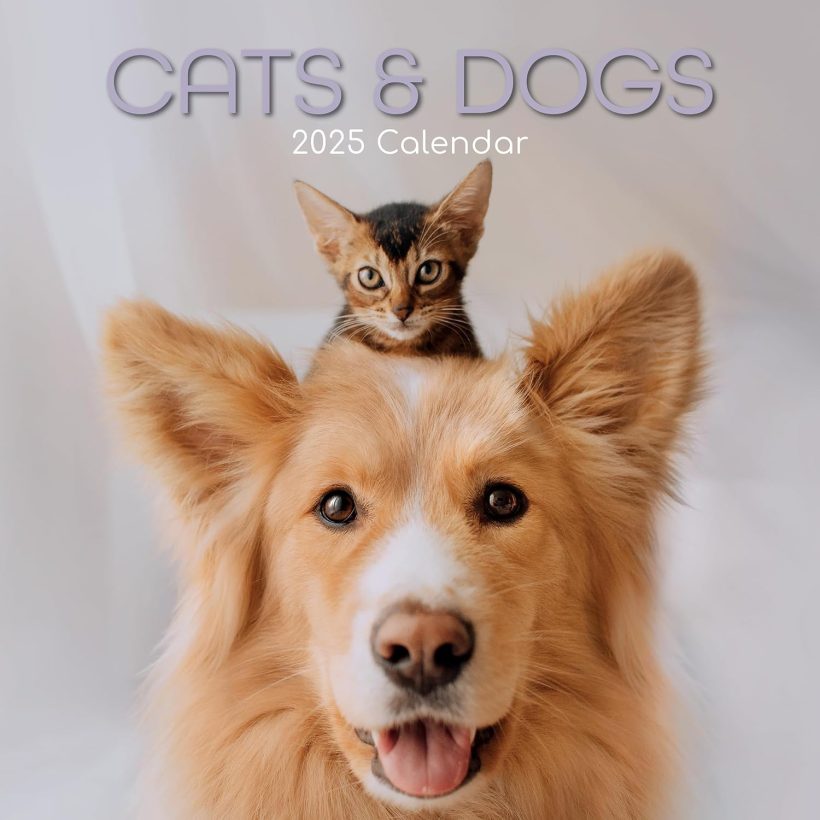 2025 Square Wall Calendar – Cats & Dogs