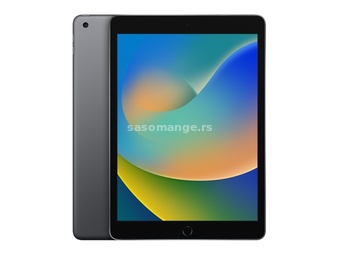 APPLE iPad 9th Gen 10.2 inch A13 WiFi 256GB Space Gray (fk2n3ll/a)