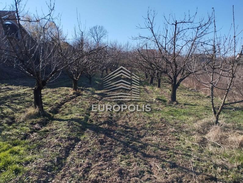 Prodaja, plac, Zaklopača ID#6722 31.000 €