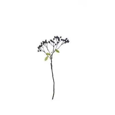 /Grana bobice 77,5cm 66619444