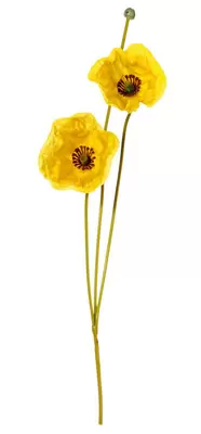 Grana maka 55cm 66616444
