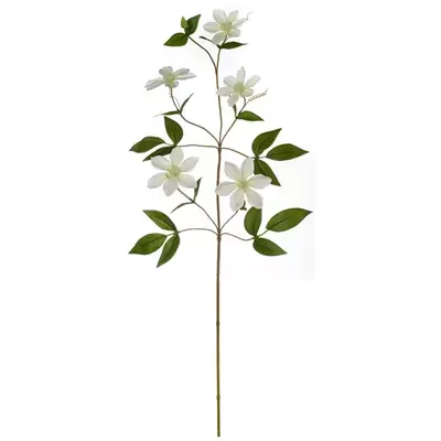 /Grana clematis 78cm 66639444