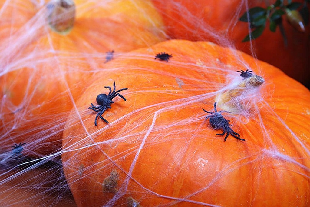 Plastični paukovi – 10 kom