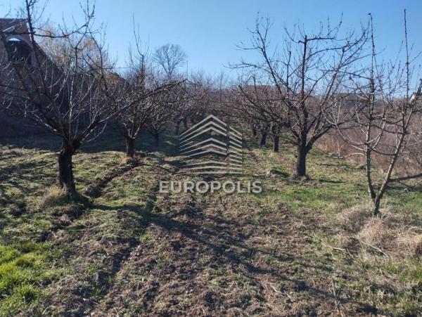 Plac na prodaju, Grocka, Zaklopača, 31.000€