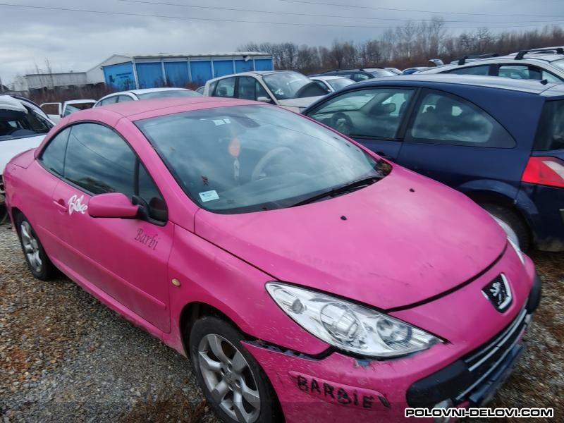 Peugeot 307 Cabrio Kompletan Auto U Delovima