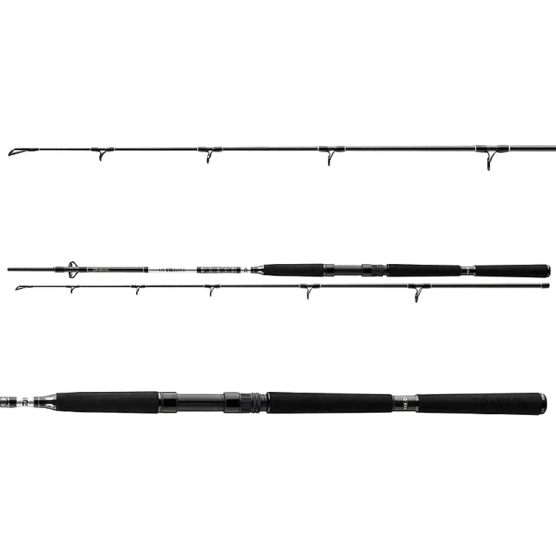 DAIWA BG OFFSHOREE PILK 2,70m 40-125gr (11928-270)