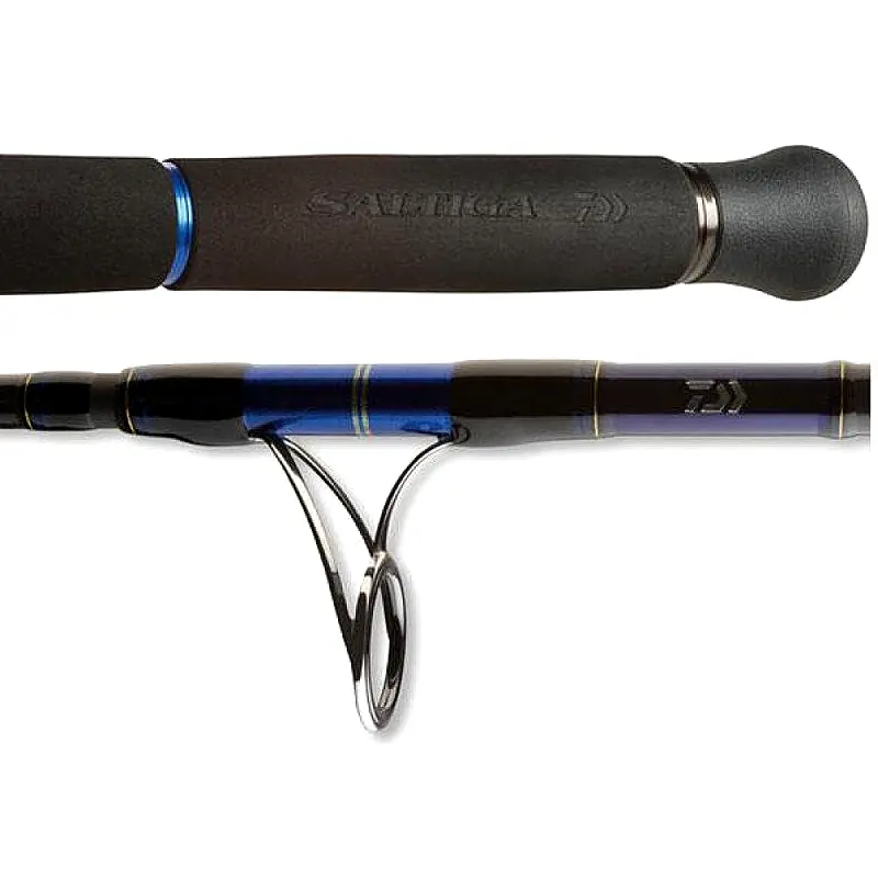 DAIWA SALTIGA AP 2.55m 50-160g (11500-255) 55601