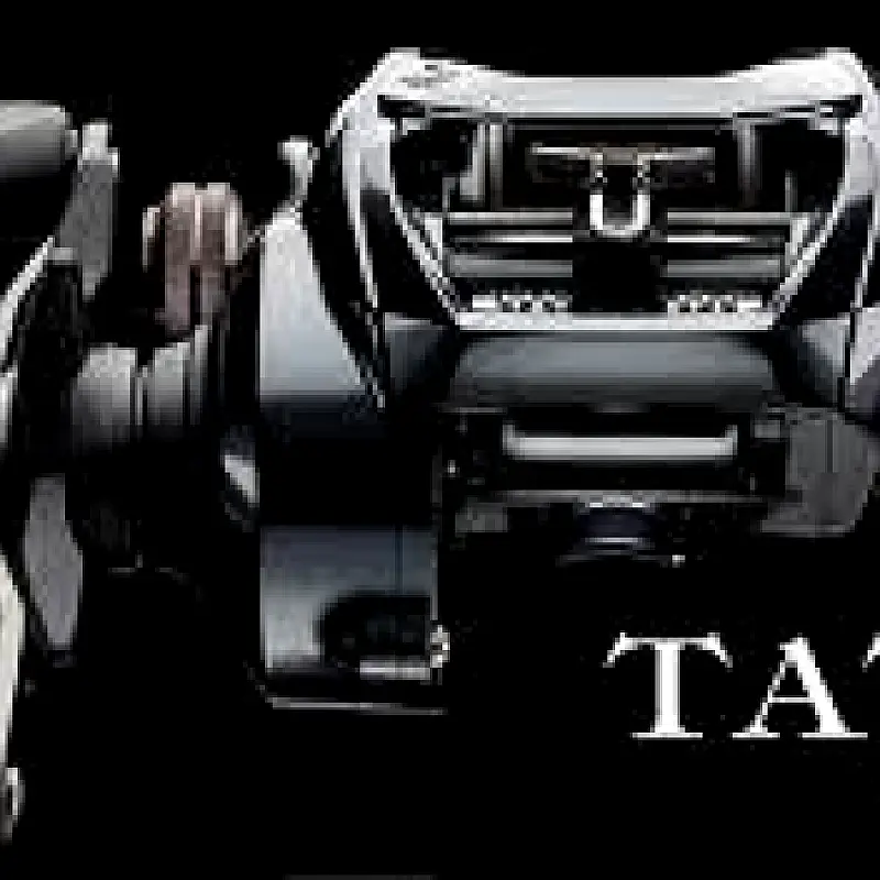 DAIWA TATULA 300HL (10711-305) 57285