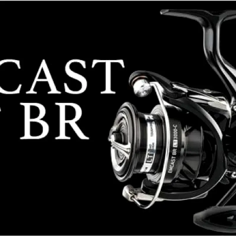 Daiwa 19 EMCAST BR LT 5000-C (10148-500)