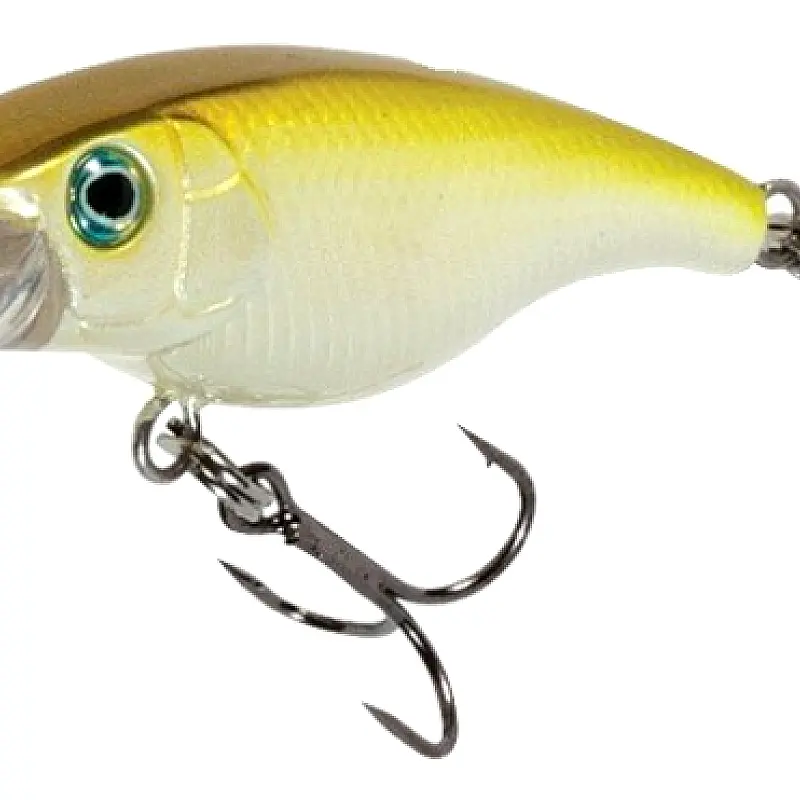 FIL FISHING FILEX LURES DYNAMIC 06 (80-5405)