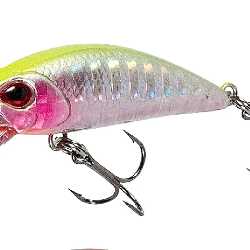 FIL FISHING FILEX LURES RAPID 01 (80-5498)