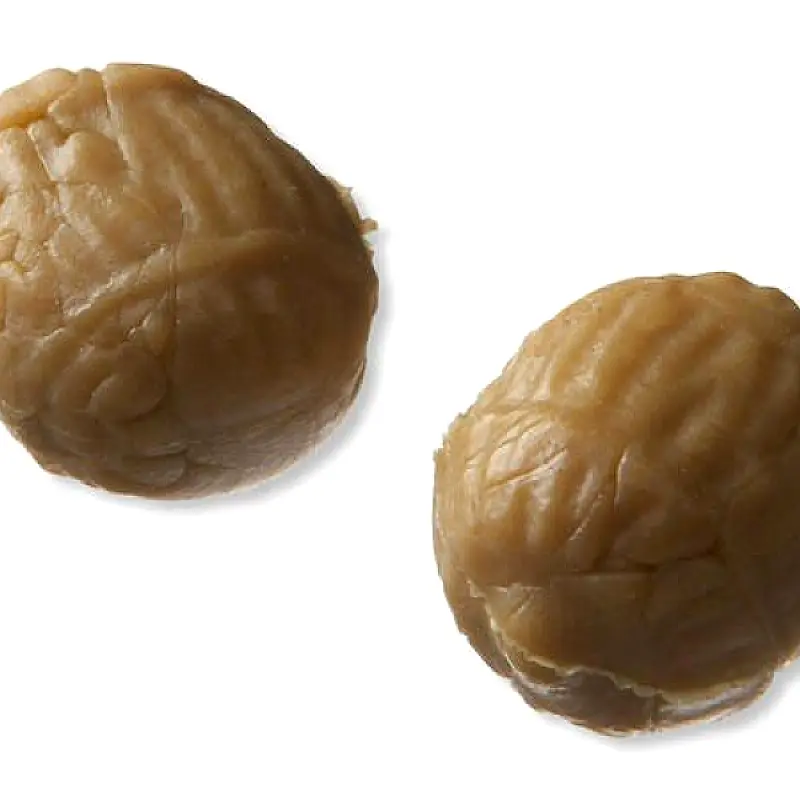 CORMORAN PRO CARP NATURAL DUMMY TIGER NUTS (11 04731)