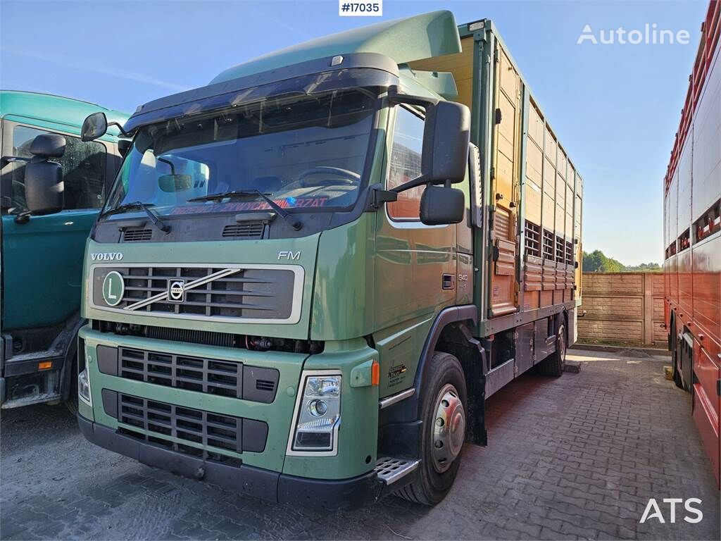 Volvo FM 340 do Przewozu Trzody kamion za prevoz stoke