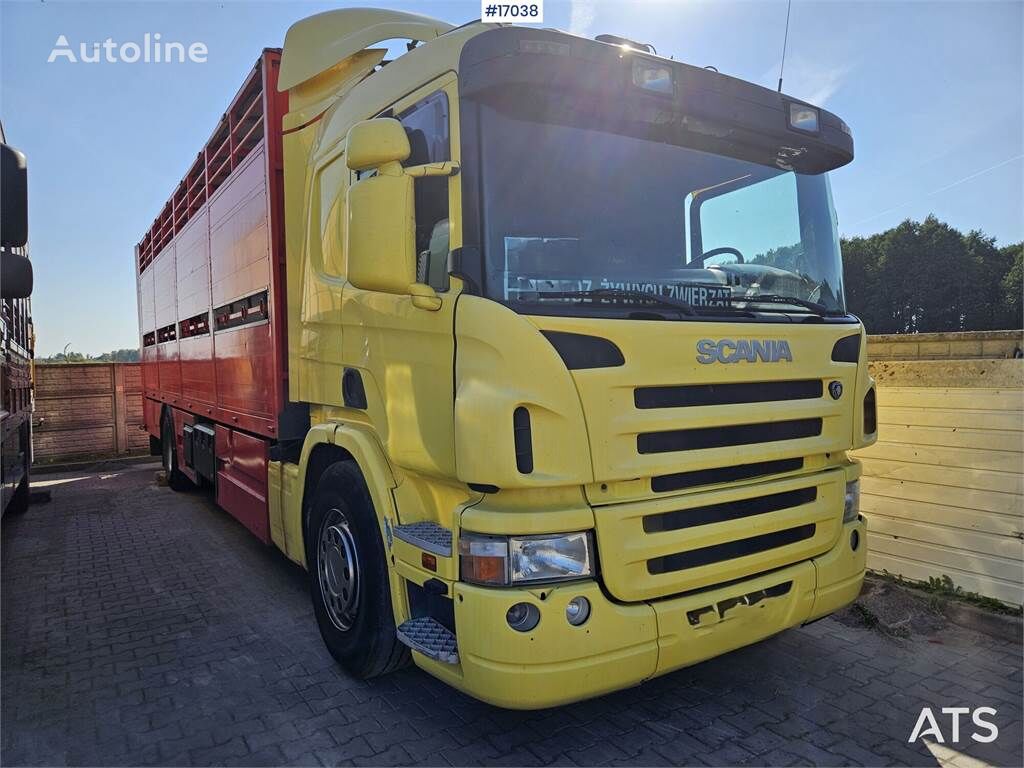 Scania P310 przystosowana do przewozu zwierząt kamion za prevoz stoke