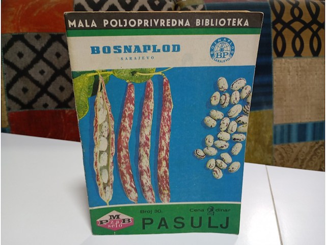 Pasulj