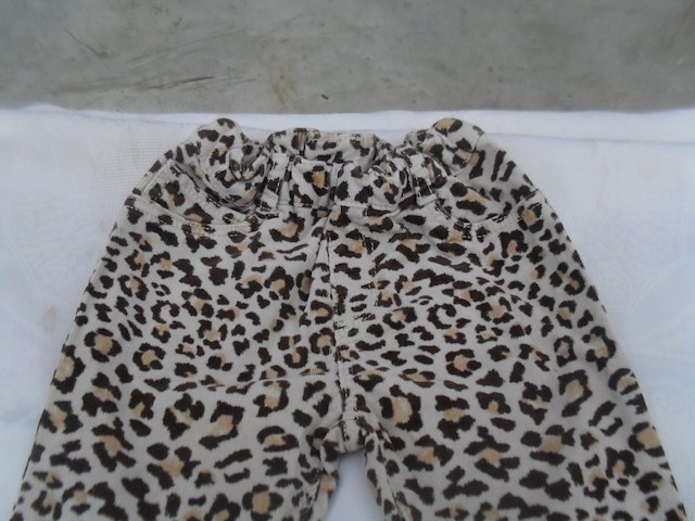 HM SOMOTARE-ANIMAL PRINT KAO NOVE,VEL. 122