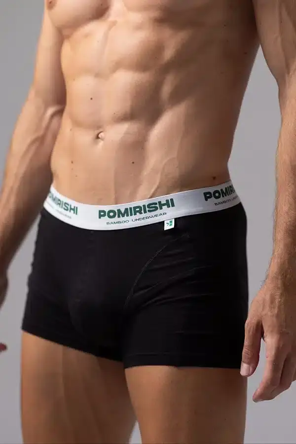 POMIRISHI BAMBOO UNDERWEAR Muške bokserice, Crne