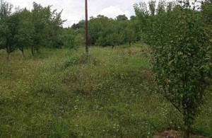 Prodajem Građevinsko Zemljište, Sremska Kamenica, Novi Sad Okolica