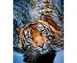 `Diamond embroidery` mosaic kit `Tigress`, 38cm x 48cm, Collection D`Art