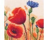 Cross-stitch kit `Summer poppyhead`, 12cm x 12cm, RTO