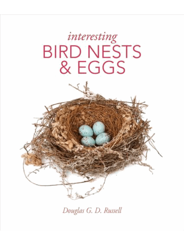 Interesting Bird Nests & Eggs