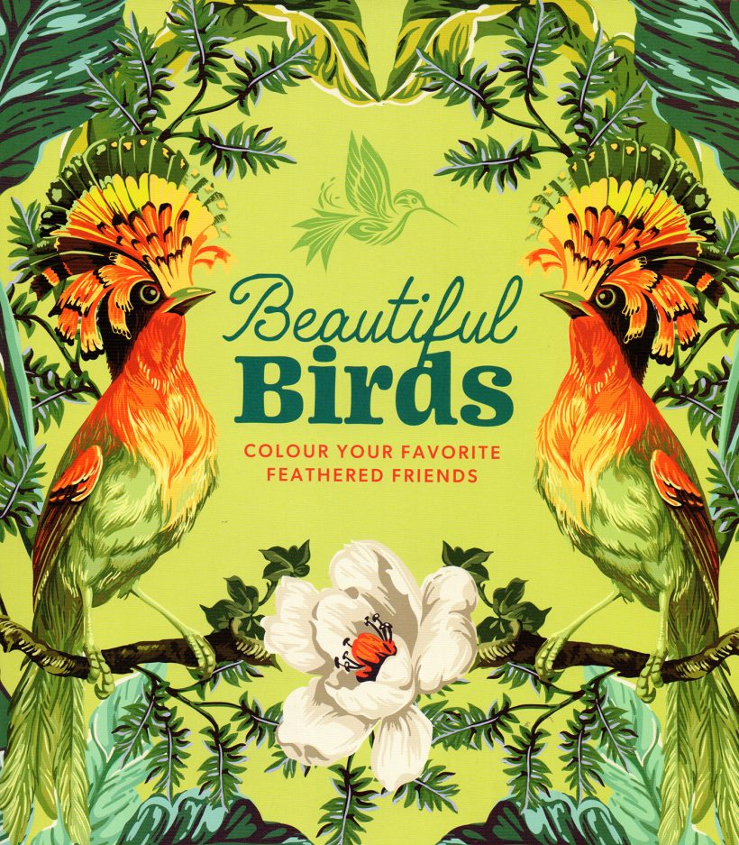 Beautiful Birds Colouring Book