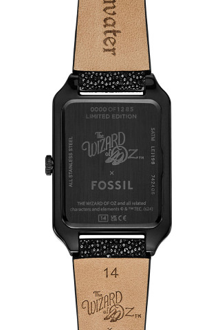 FOSSIL SATOVI