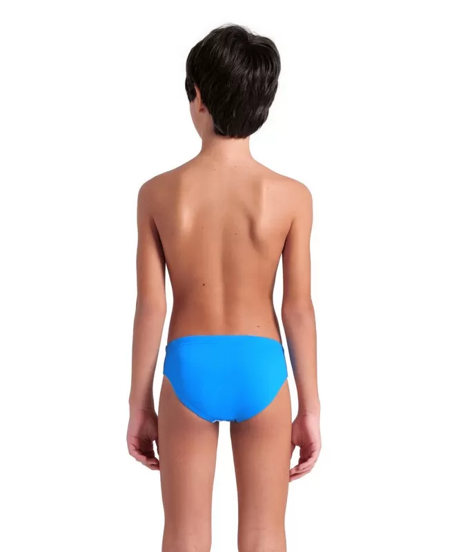 BOYS ARENA LOGO GRAPHIC SWIM BRIEFS BLUE RIVER-WATER MULTI