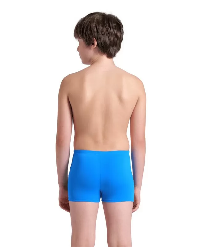 BOYS ARENA LOGO GRAPHIC SWIM SHORT BLUE RIVER-WATER MULTI