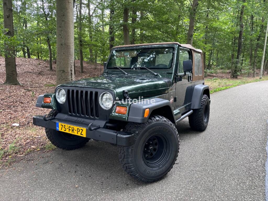 Jeep Wrangler TJ 4.0 SAHARA EDITION handgeschakeld terenac