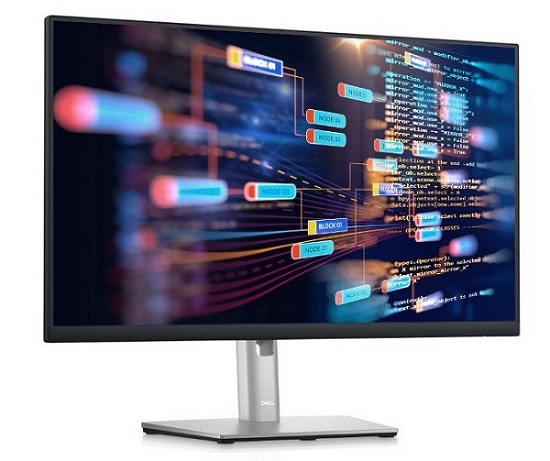 Dell monitor professional IPS QHD 23.8″ P2423D