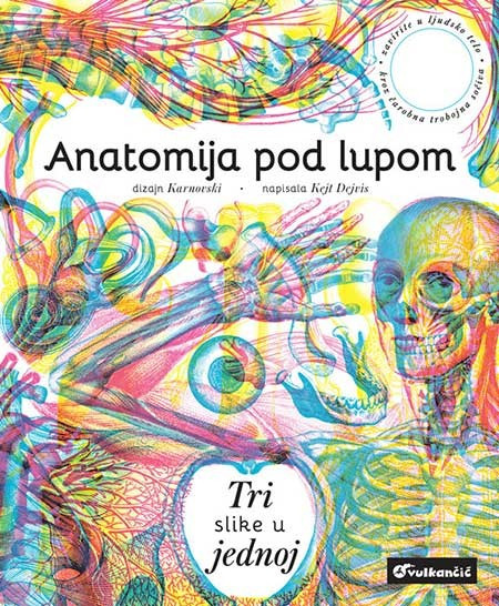 Anatomija pod lupom