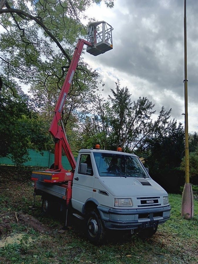 IVECO 40E10 4x4 Lifting basket Rothlehner 12,8 m auto dizalica s korpom