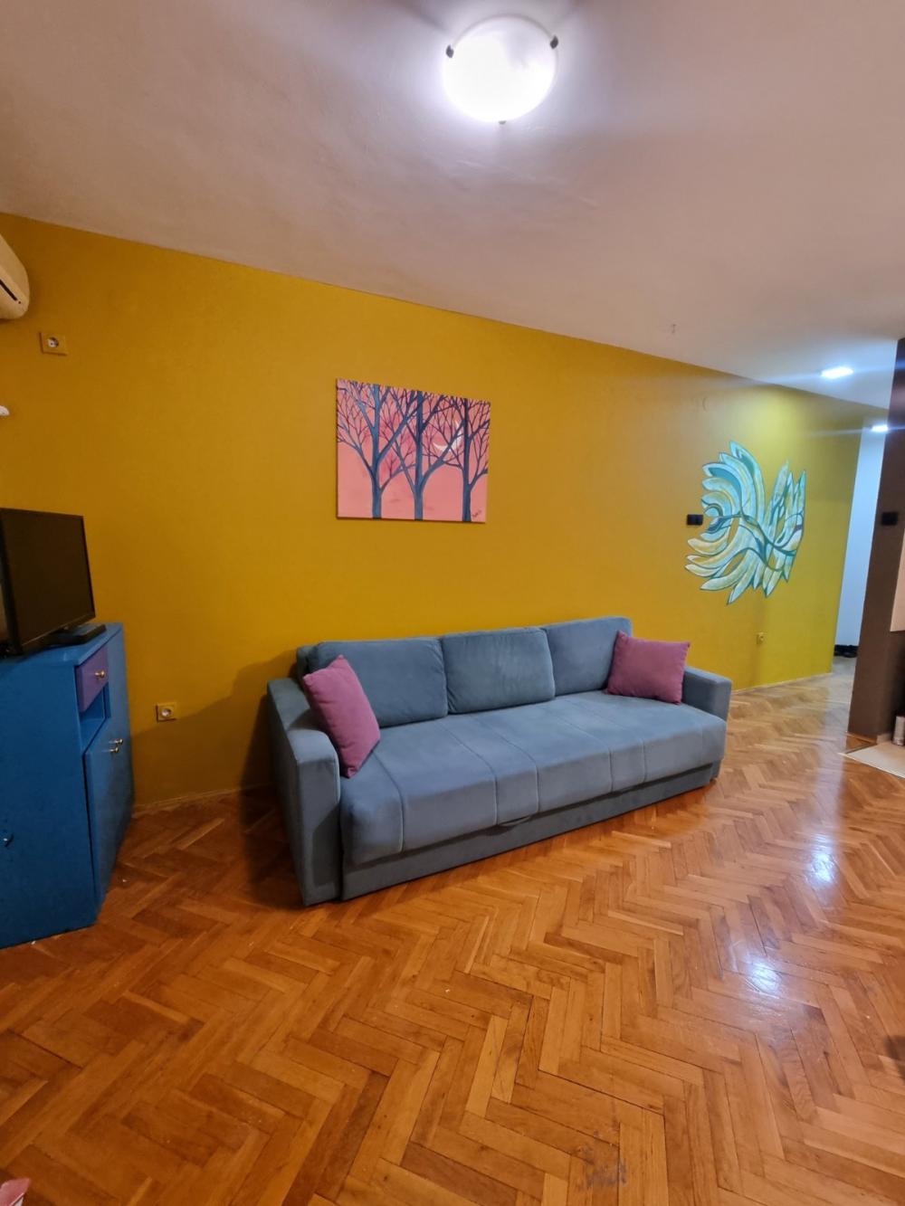 Odlična pet friendly garsonjera u Hadži Ruvimovoj ID#1156 300 €