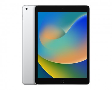 APPLE iPad 9th Gen 10.2 inch A13 WiFi 256GB Silver (fk2p3ll/a)