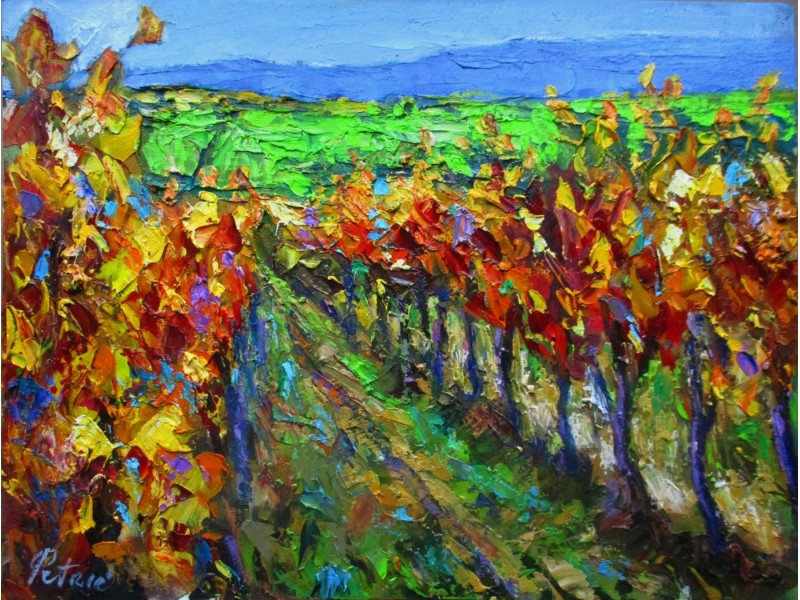 Vinigrad u jesen - ulje 30 x 40 cm.