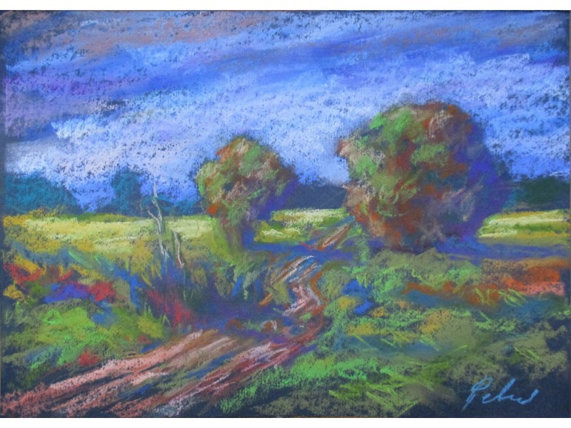 Poljski put - pastel 25 x 35 cm.