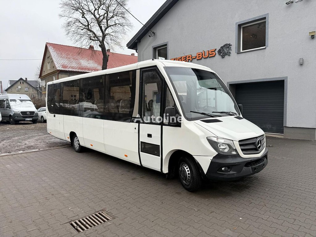 Mercedes-Benz Sprinter 716 Kutsenitz prigradski autobus